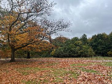 Harrow on the Hill - BBC Weather