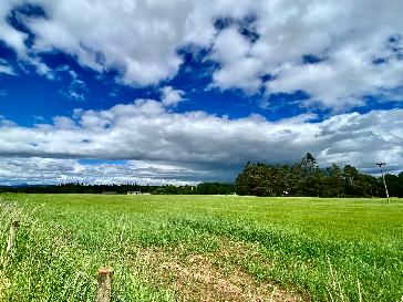 Dunkeld - BBC Weather