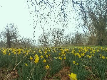 Trowbridge - BBC Weather