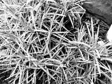 Warwick - BBC Weather