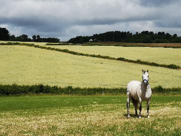Manchester - BBC Weather