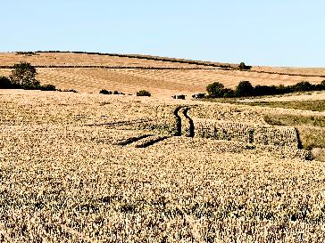 Trowbridge - BBC Weather