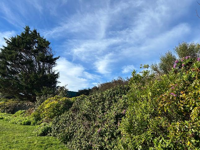 Report - BBC Weather Watchers