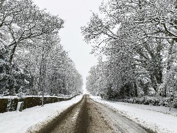 Sheffield - BBC Weather