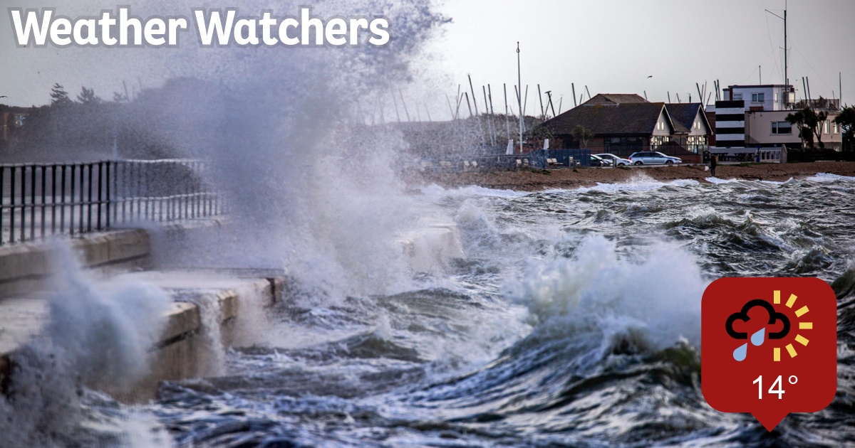 Report - BBC Weather Watchers