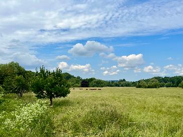 Redditch - BBC Weather