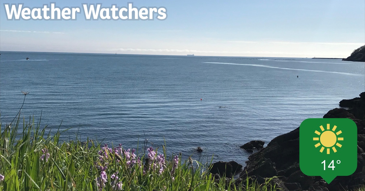 Report - BBC Weather Watchers