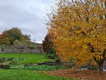 Exmouth - BBC Weather