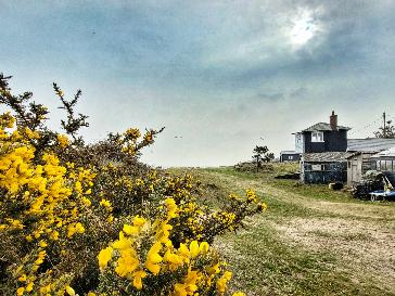 Lowestoft - BBC Weather