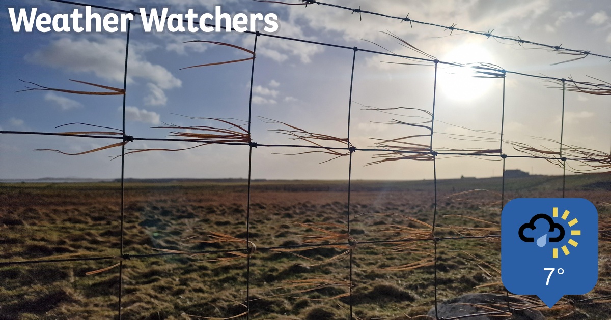 Report - BBC Weather Watchers