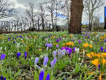 Harrogate - BBC Weather