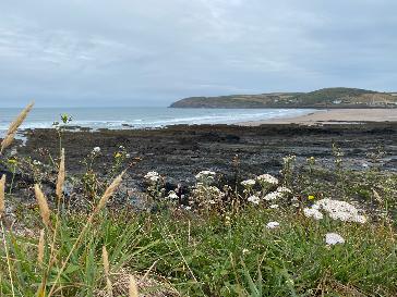 Brixham - BBC Weather