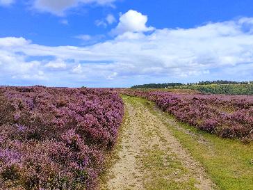 Whitby - BBC Weather