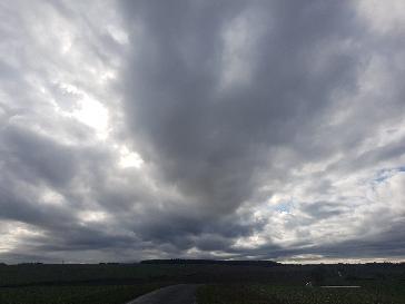 Braintree - BBC Weather