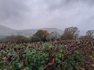 Brecon - BBC Weather