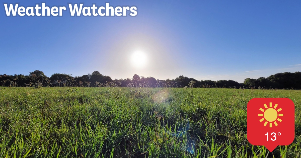 Report - BBC Weather Watchers
