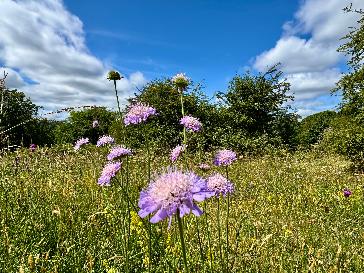Sutton Coldfield - BBC Weather