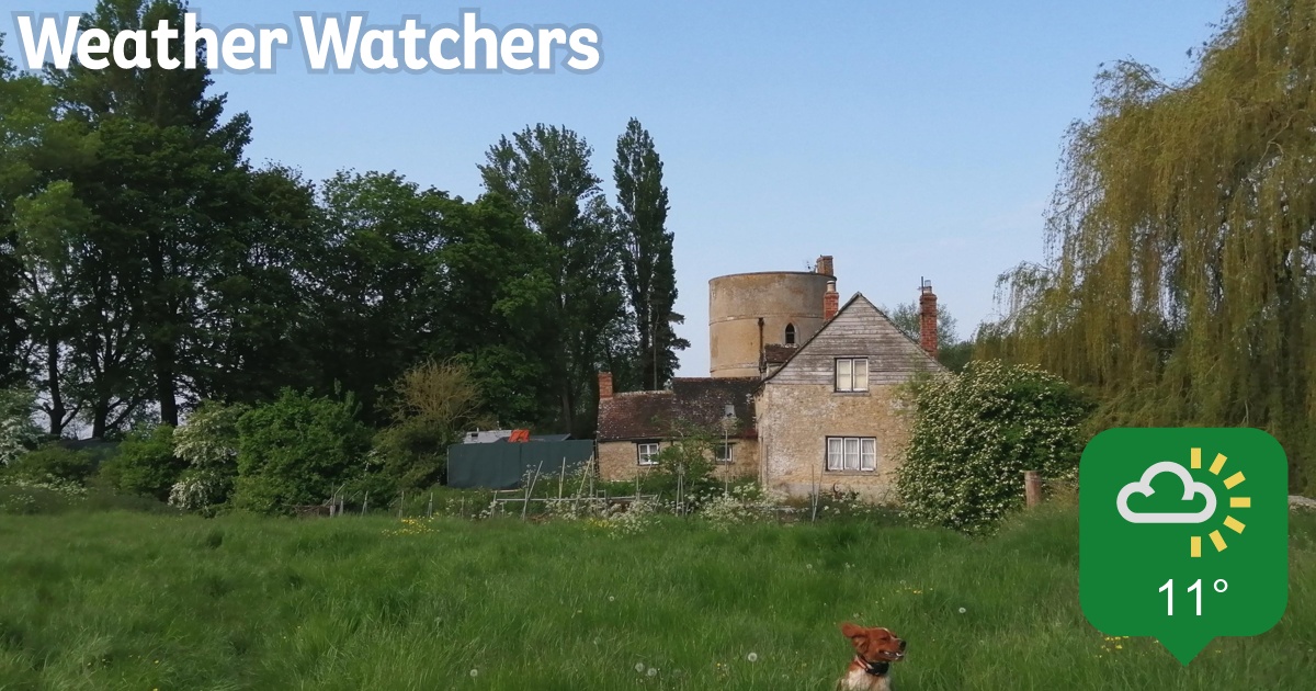 Report - BBC Weather Watchers