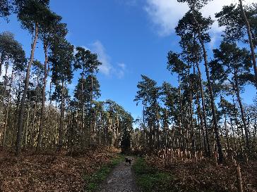 Nuneaton - BBC Weather