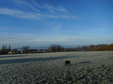 Exeter - BBC Weather