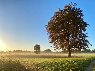 Stevenage - BBC Weather