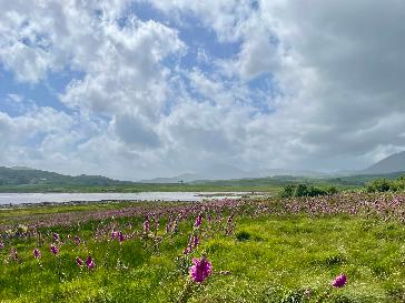 Greenock - BBC Weather