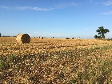 Norwich International Airport - BBC Weather
