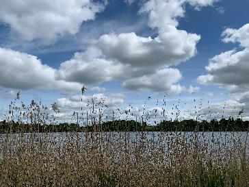 Shrewsbury - BBC Weather