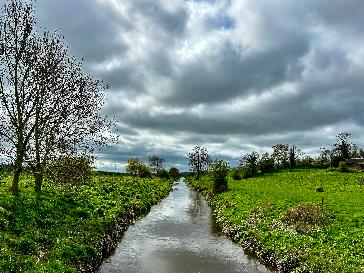 Warrenpoint - BBC Weather
