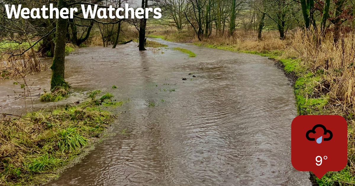 Report - BBC Weather Watchers