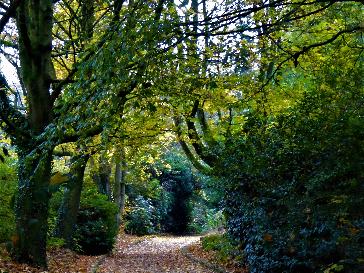 Londonderry - BBC Weather