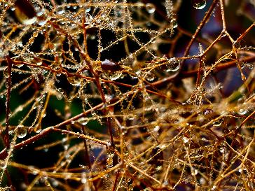 Evesham - BBC Weather