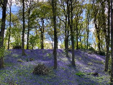 Worcester - BBC Weather