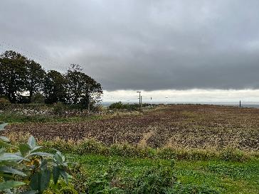 Rosyth - BBC Weather