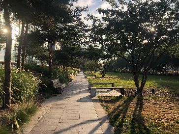 Solihull - BBC Weather