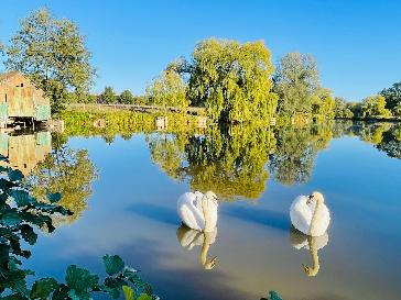 Biddulph - BBC Weather