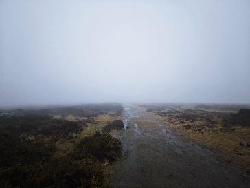 Exeter Airport - BBC Weather