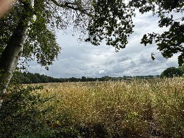Alcester - BBC Weather