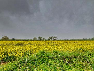 Witham - BBC Weather