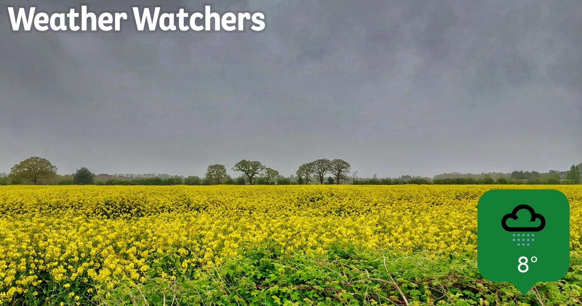 Report - BBC Weather Watchers