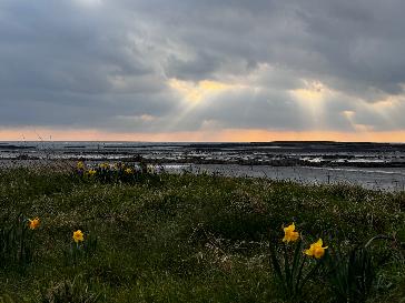 Warrenpoint - BBC Weather