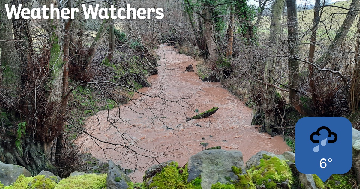 Report - BBC Weather Watchers