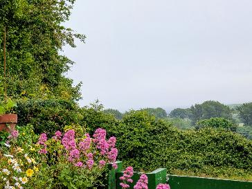 Lurgan - BBC Weather