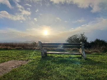 Arbroath - BBC Weather