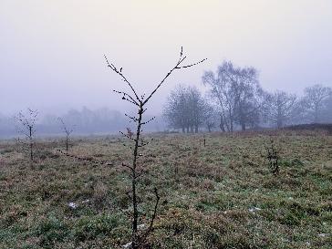 Droitwich - BBC Weather