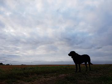 Basildon - BBC Weather