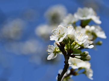 Baldock - BBC Weather