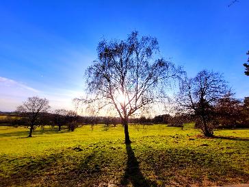 Doncaster - BBC Weather