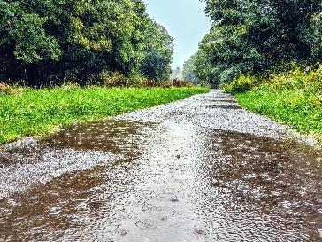 Clitheroe - BBC Weather