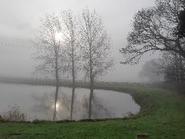 Tamworth - BBC Weather